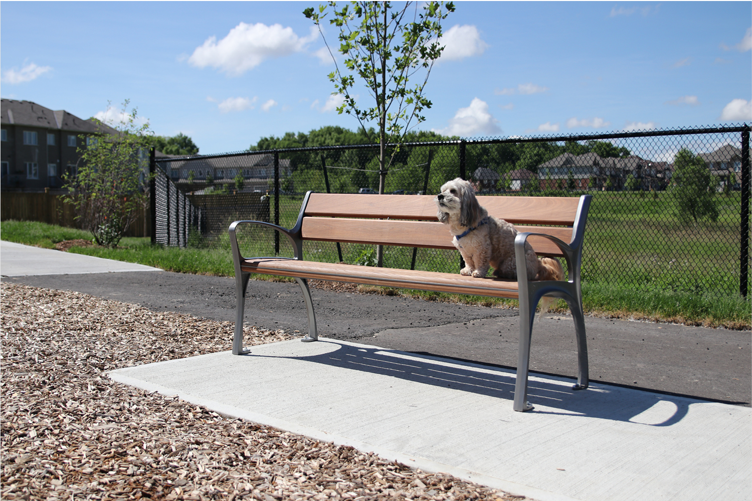 Benches - Product Information - Maglin Site Furniture