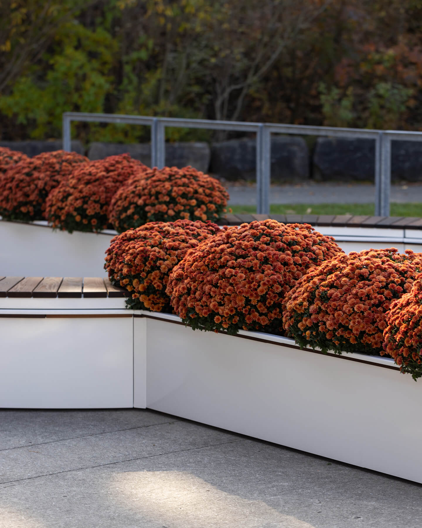 Product Collections - Maglin Site Furniture