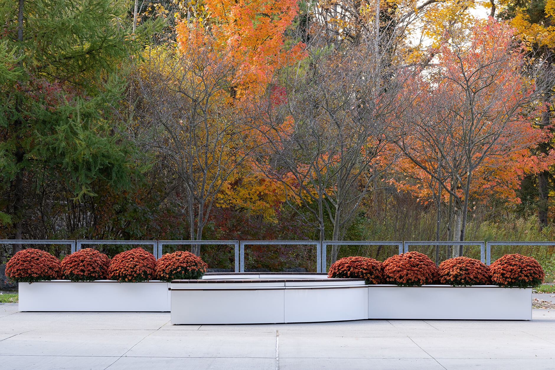 CANOE Collection - Maglin Site Furniture