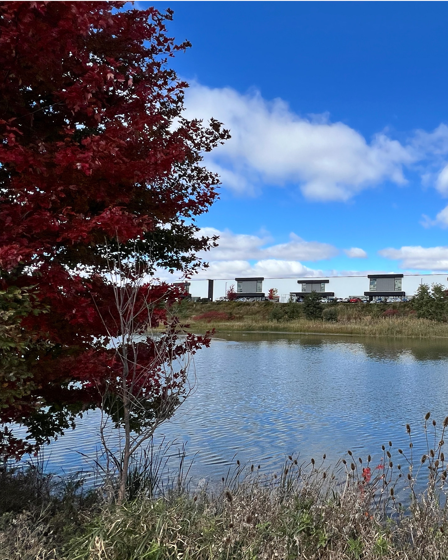 Products - Maglin Site Furniture