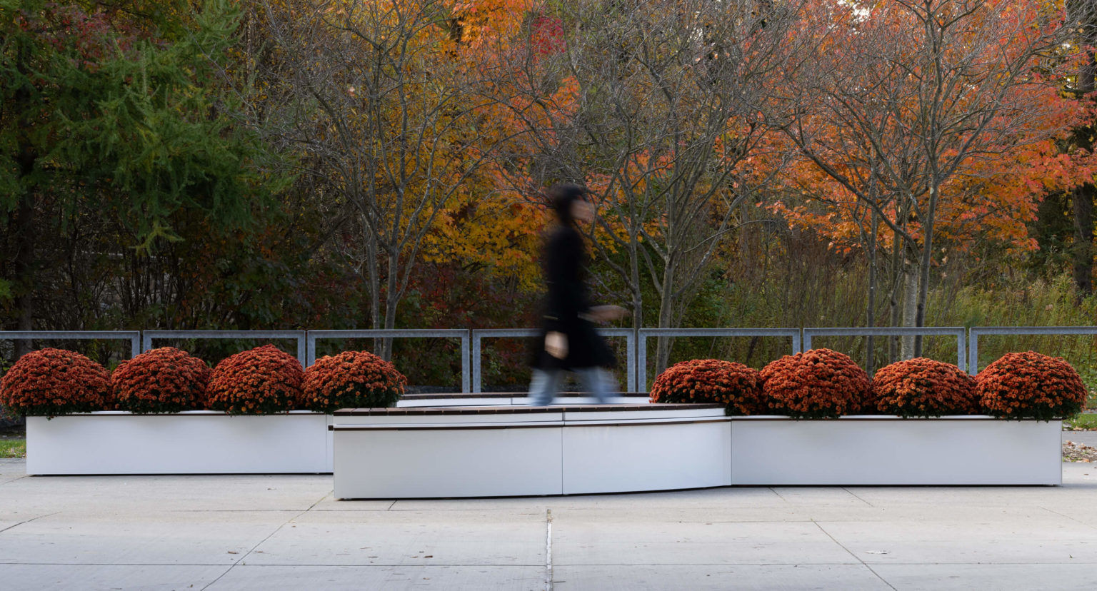 CANOE Planters - Maglin