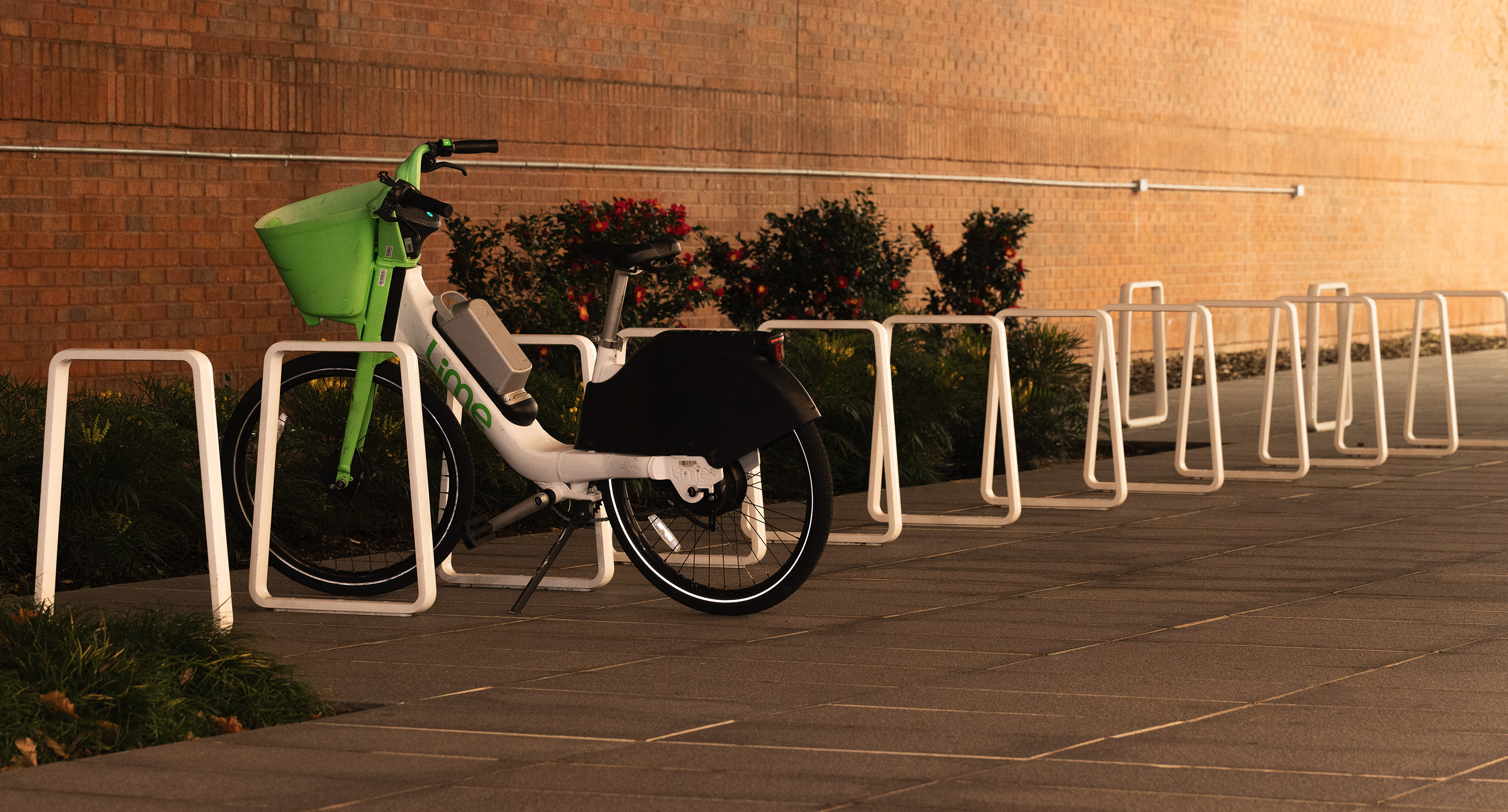 Iconic Bike Rack - Maglin