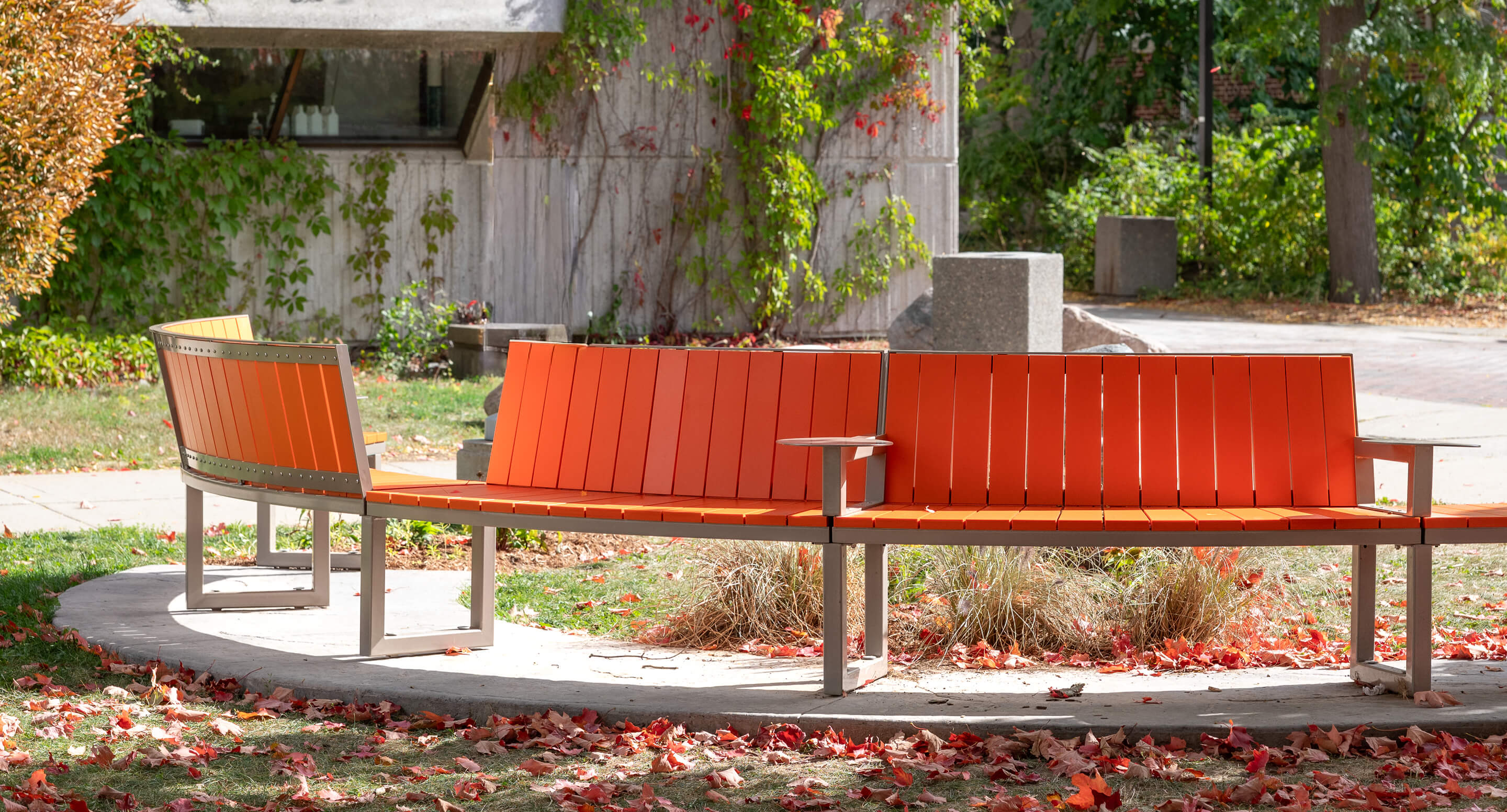 Ogden Collection - Maglin