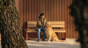 Blox Backed Benches - Maglin